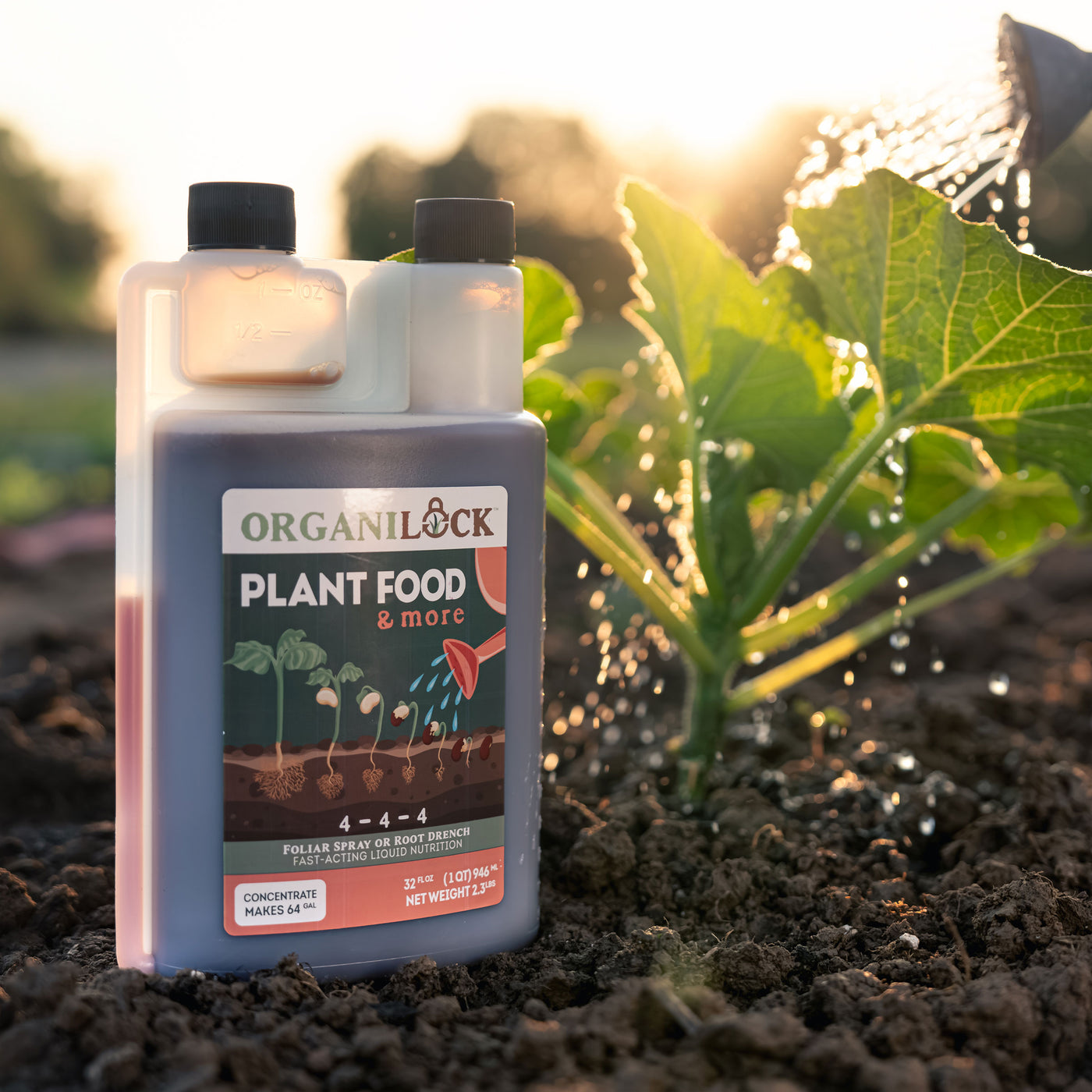 Plant Food - good for growing plants of all types!